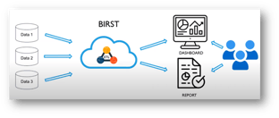 What is Birst